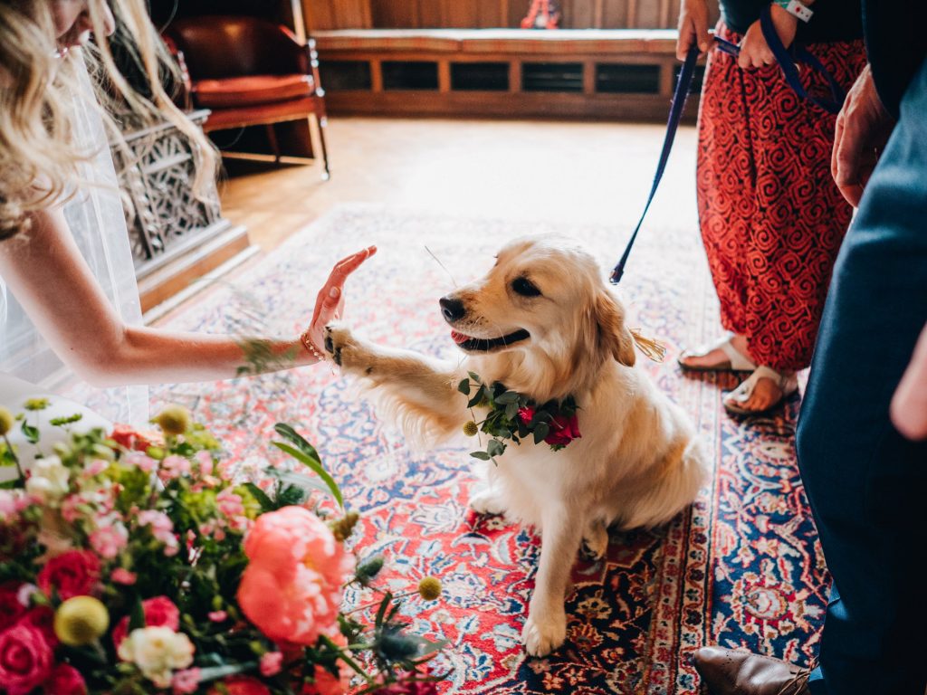 Justin Alexander for a Colourful Lake District Wedding at The Lingholm ...